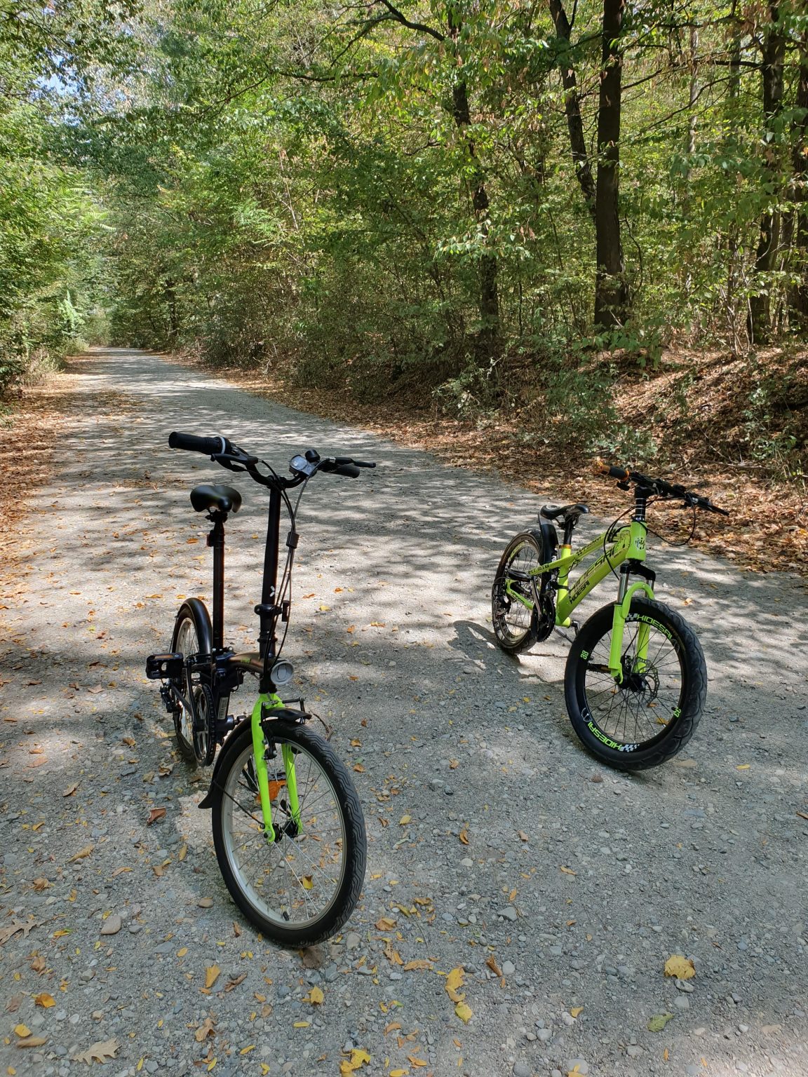 9 excursii de o zi, cu plecare din Bucuresti - Piciorușe Călătoare